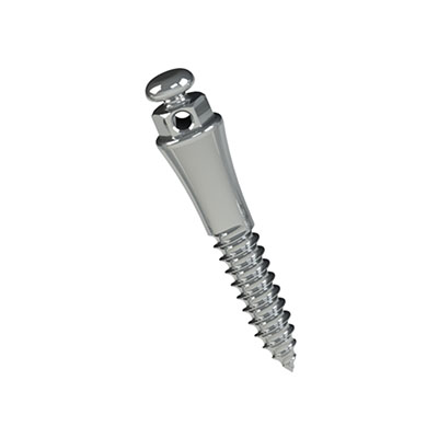 Miniparafuso Ortodôntico Extrarradicular de Aço | Morelli